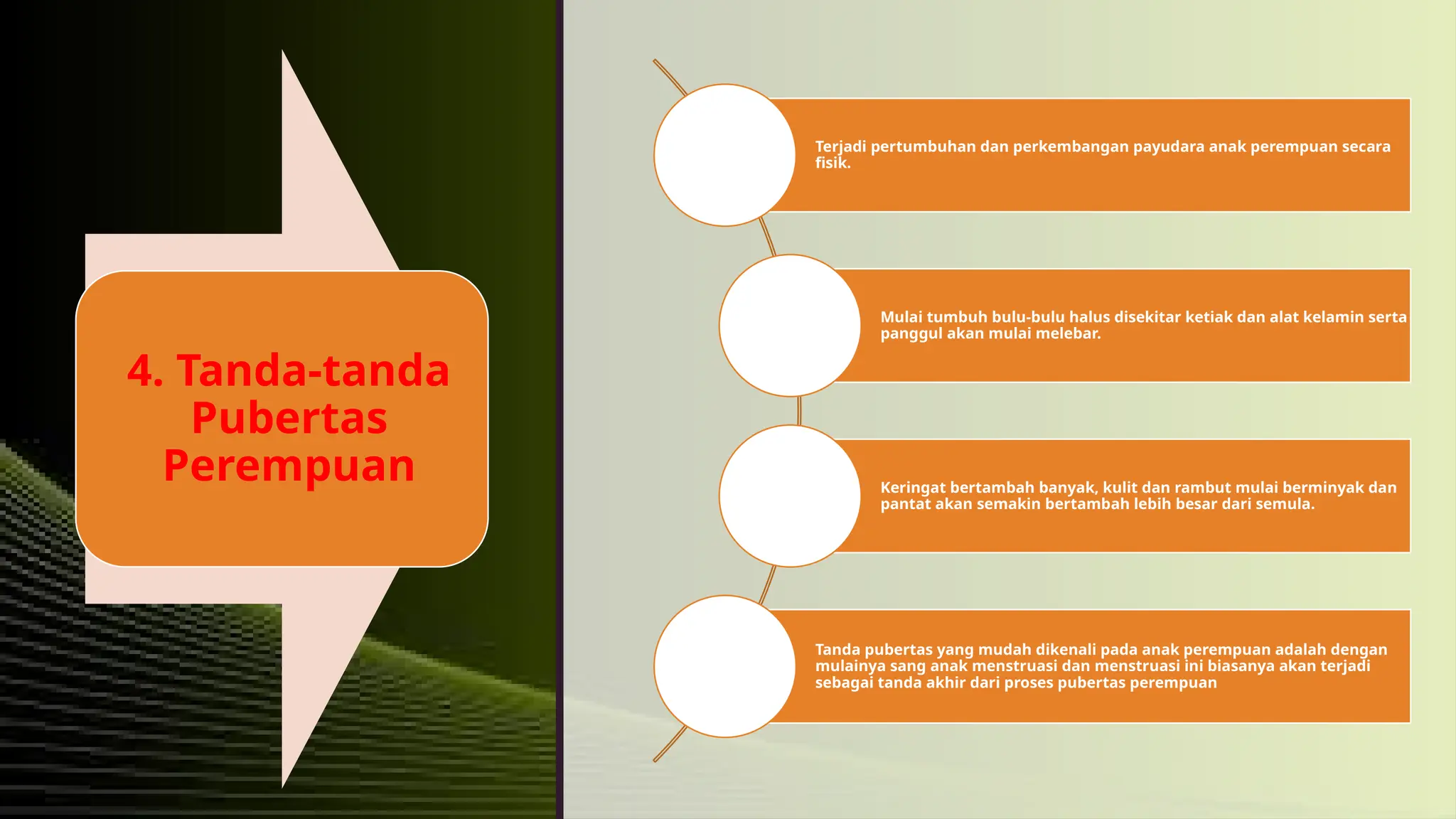 MATERI PUBERTAS PADA USIA REMAJA SERTA PENGENALAN KESEHATAN REPRODUKSI ...