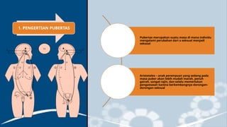 MATERI PUBERTAS PADA USIA REMAJA SERTA PENGENALAN KESEHATAN REPRODUKSI | PPT