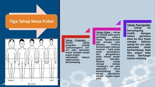 MATERI PUBERTAS PADA USIA REMAJA SERTA PENGENALAN KESEHATAN REPRODUKSI | PPT