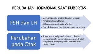 MATERI TENTANG PUBERTAS PADA MASA REMAJA | PDF