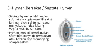 MATERI TENTANG PUBERTAS PADA MASA REMAJA | PDF