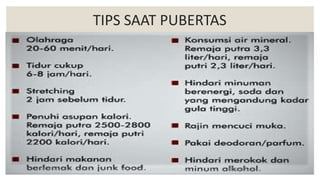Pubertas Pada Remaja.pptx