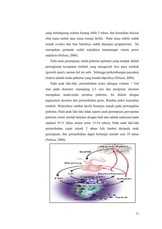 Pubertas prekoks | DOCX