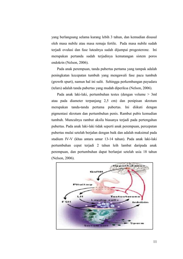 Pubertas prekoks | DOCX