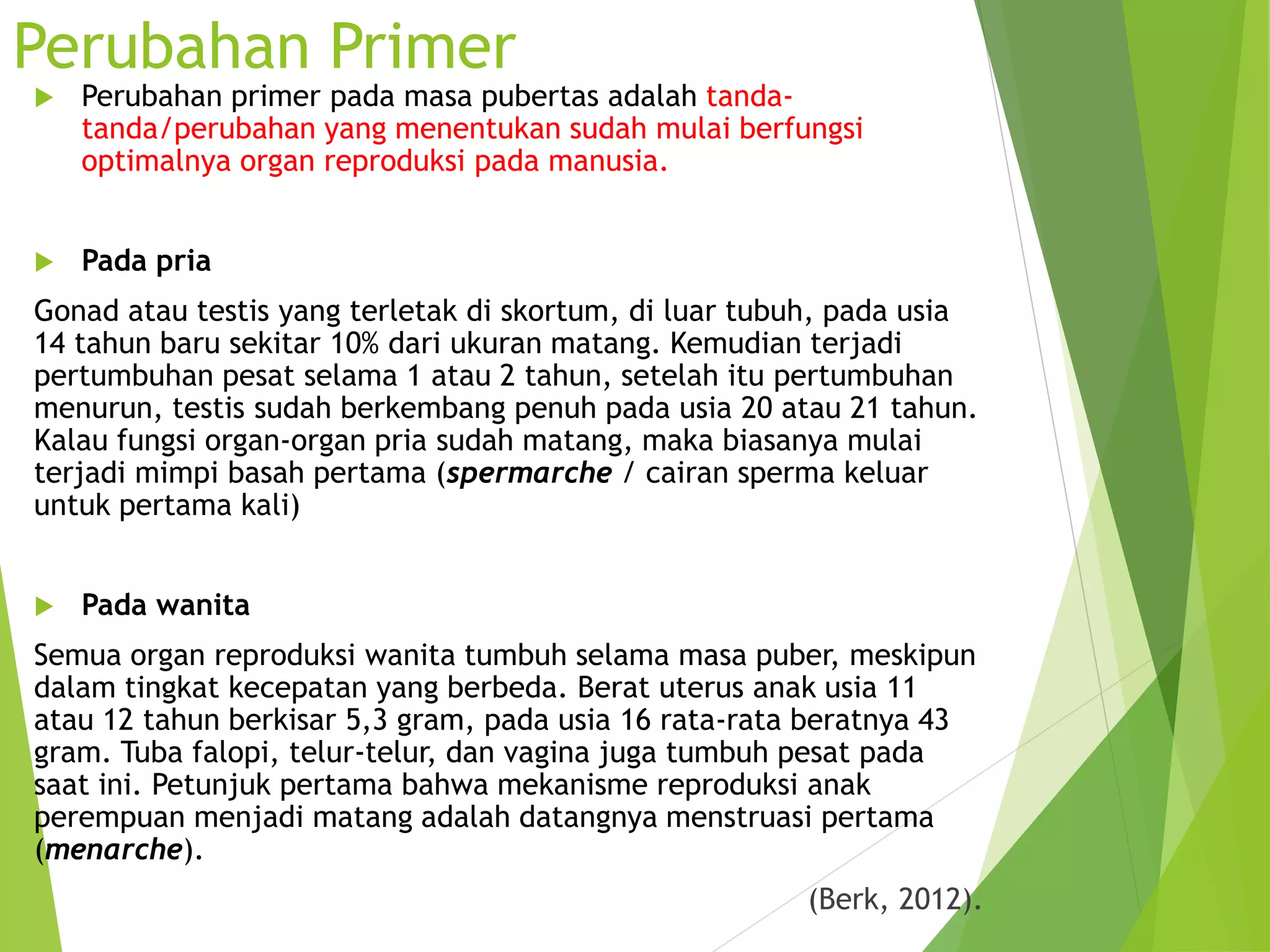 Pubertas remaja | PPT