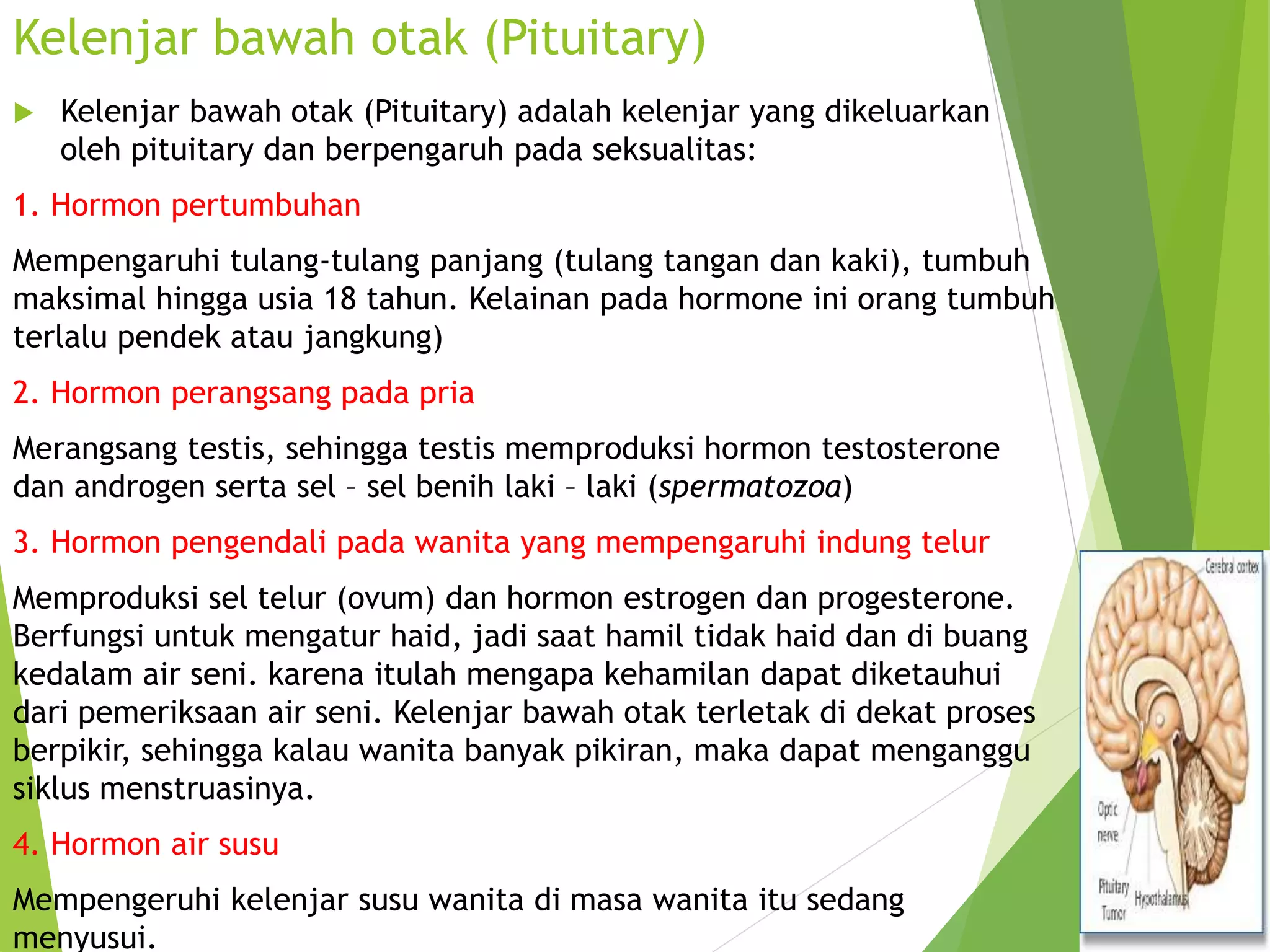 Pubertas remaja | PPT