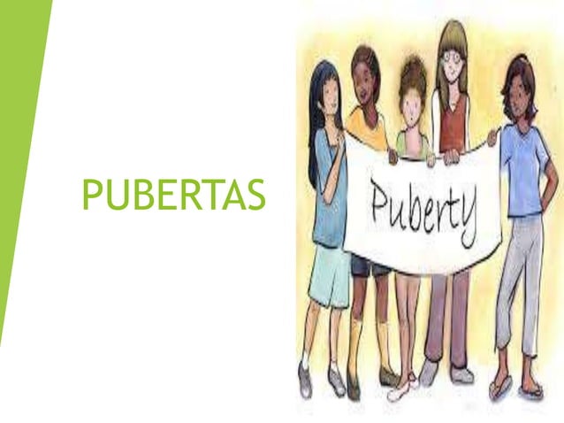 Pubertas remaja | PPT