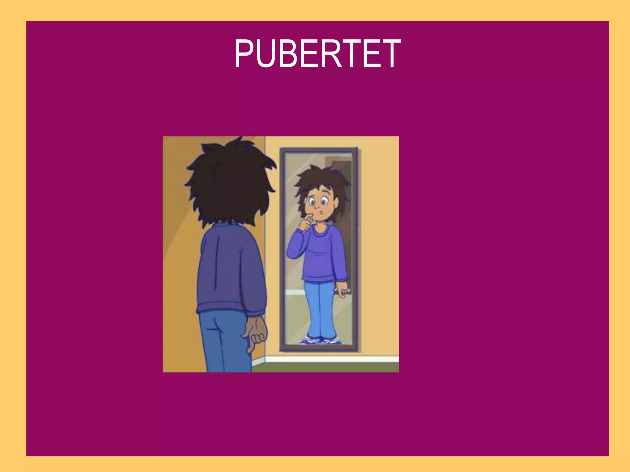 Pubertet | PPT