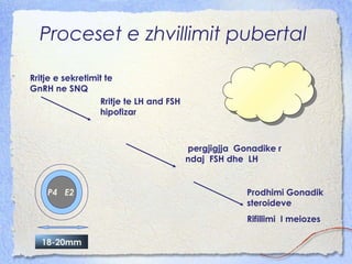 Puberteti | PPT
