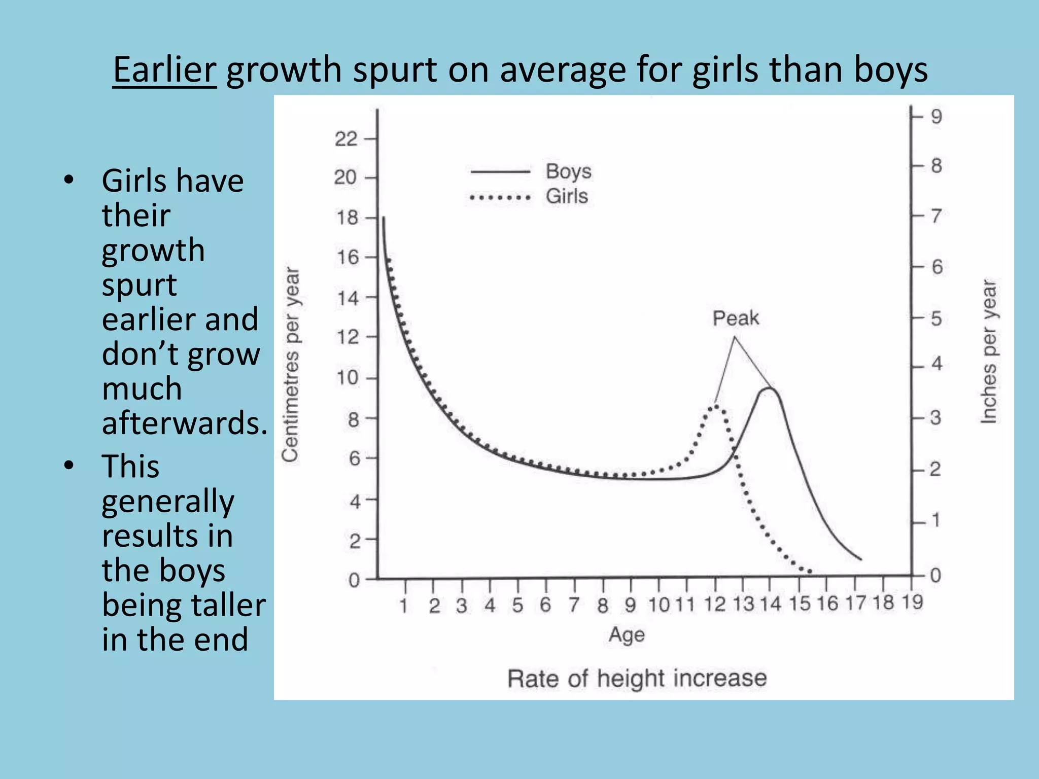 Puberty | PPTX