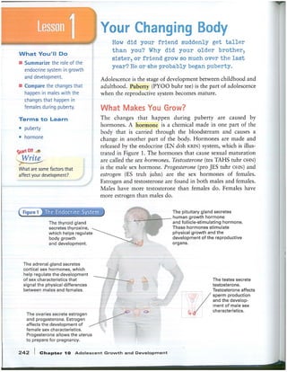 Puberty | PDF
