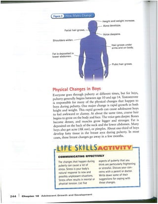Puberty Pdf