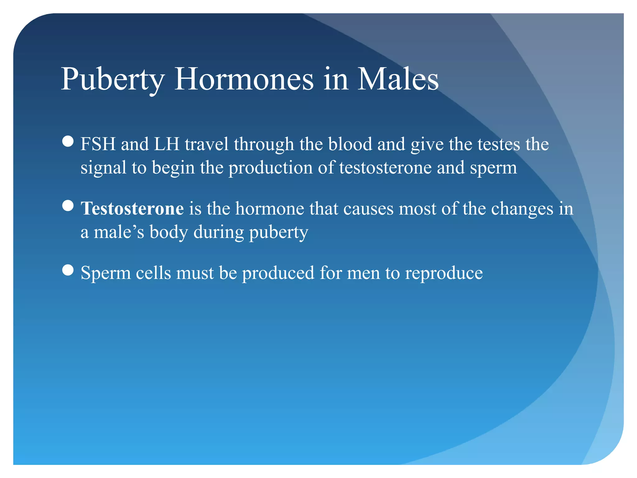 Puberty | PPT