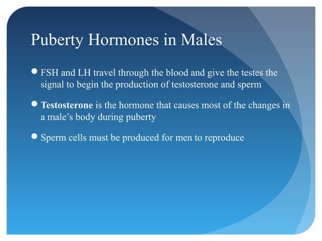 Puberty | PPT
