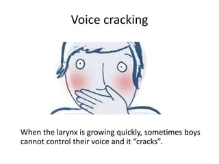 Puberty | PPTX