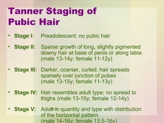 Puberty | PPT