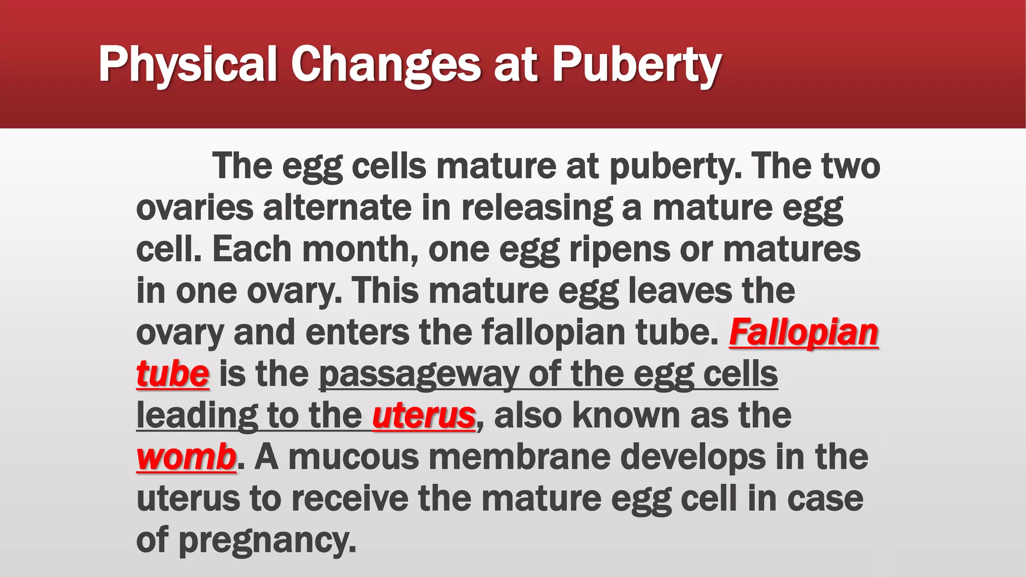 Health Physical Changes At Puberty Pptx