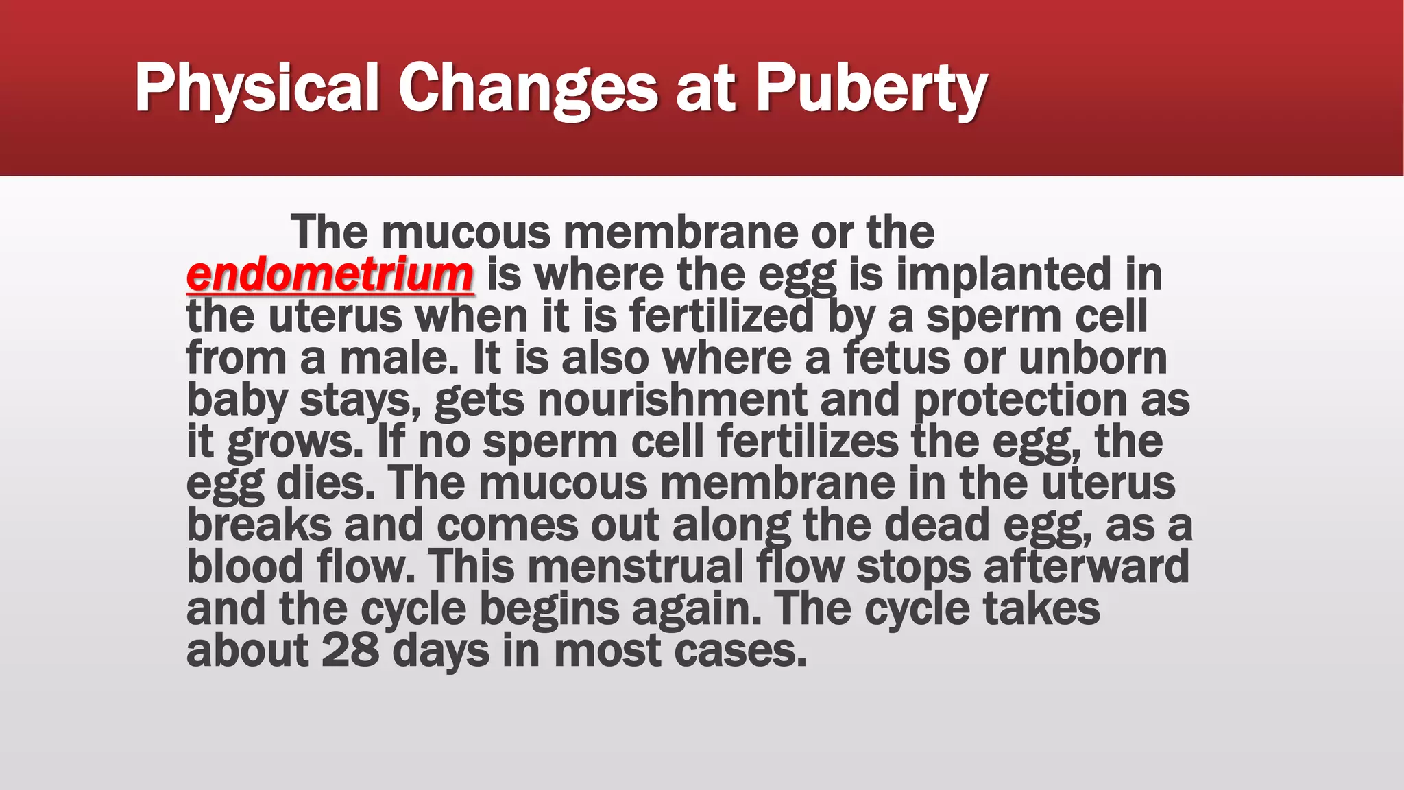 HEALTH (Physical Changes at Puberty) | PPTX