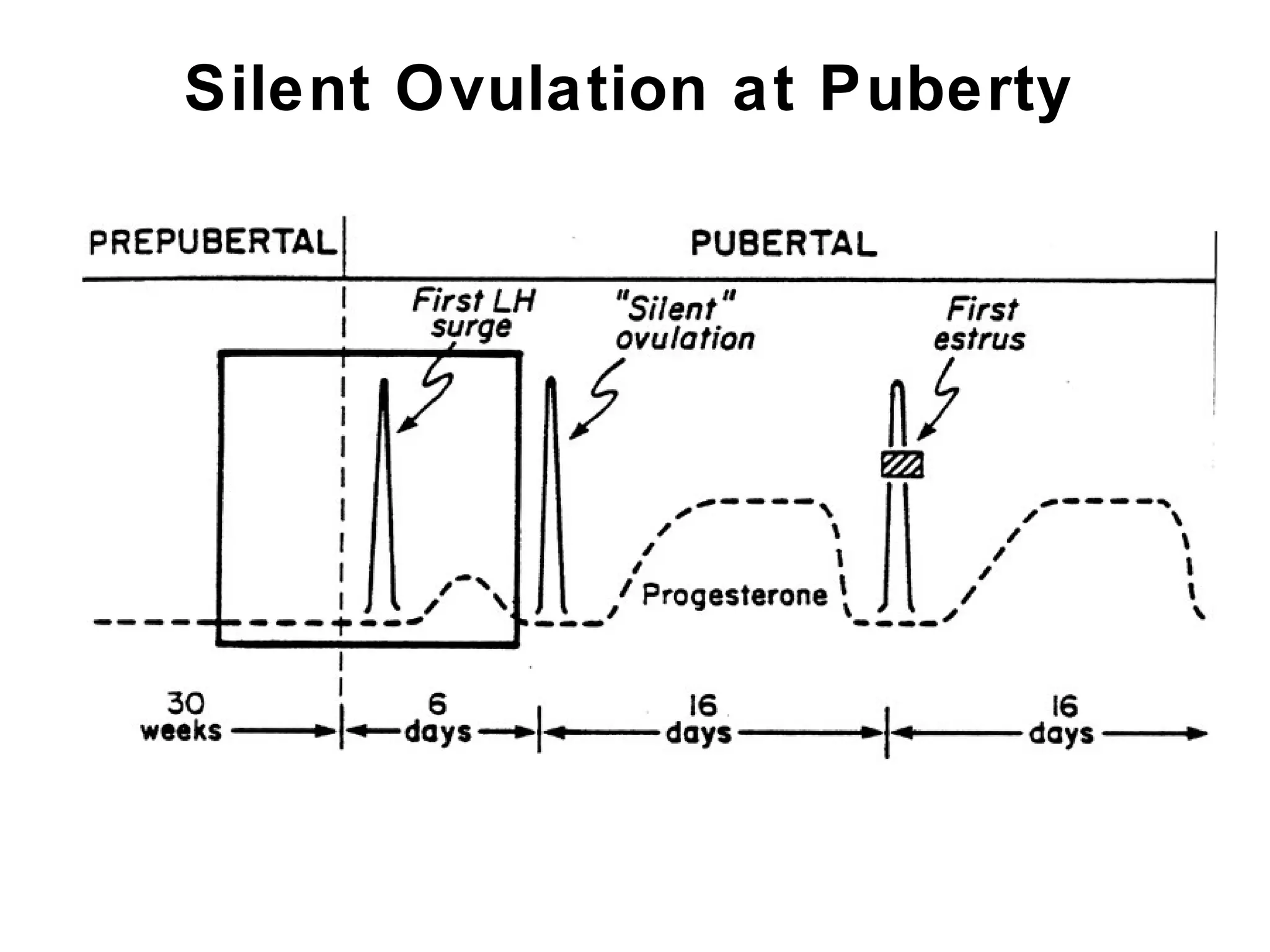 Puberty in Domestic Animals - Dr. John J. Parrish | PPT