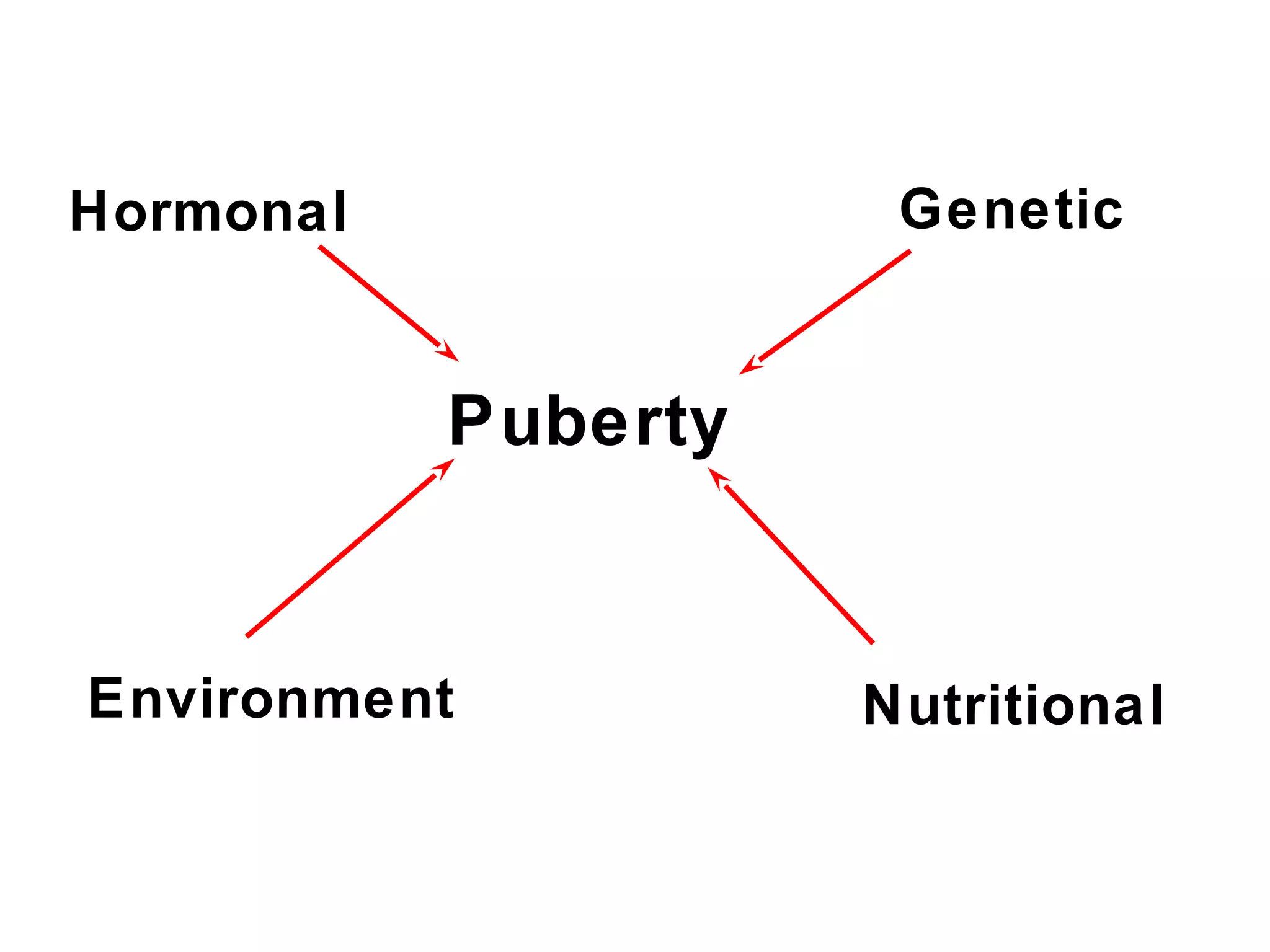 Puberty in Domestic Animals - Dr. John J. Parrish | PPT