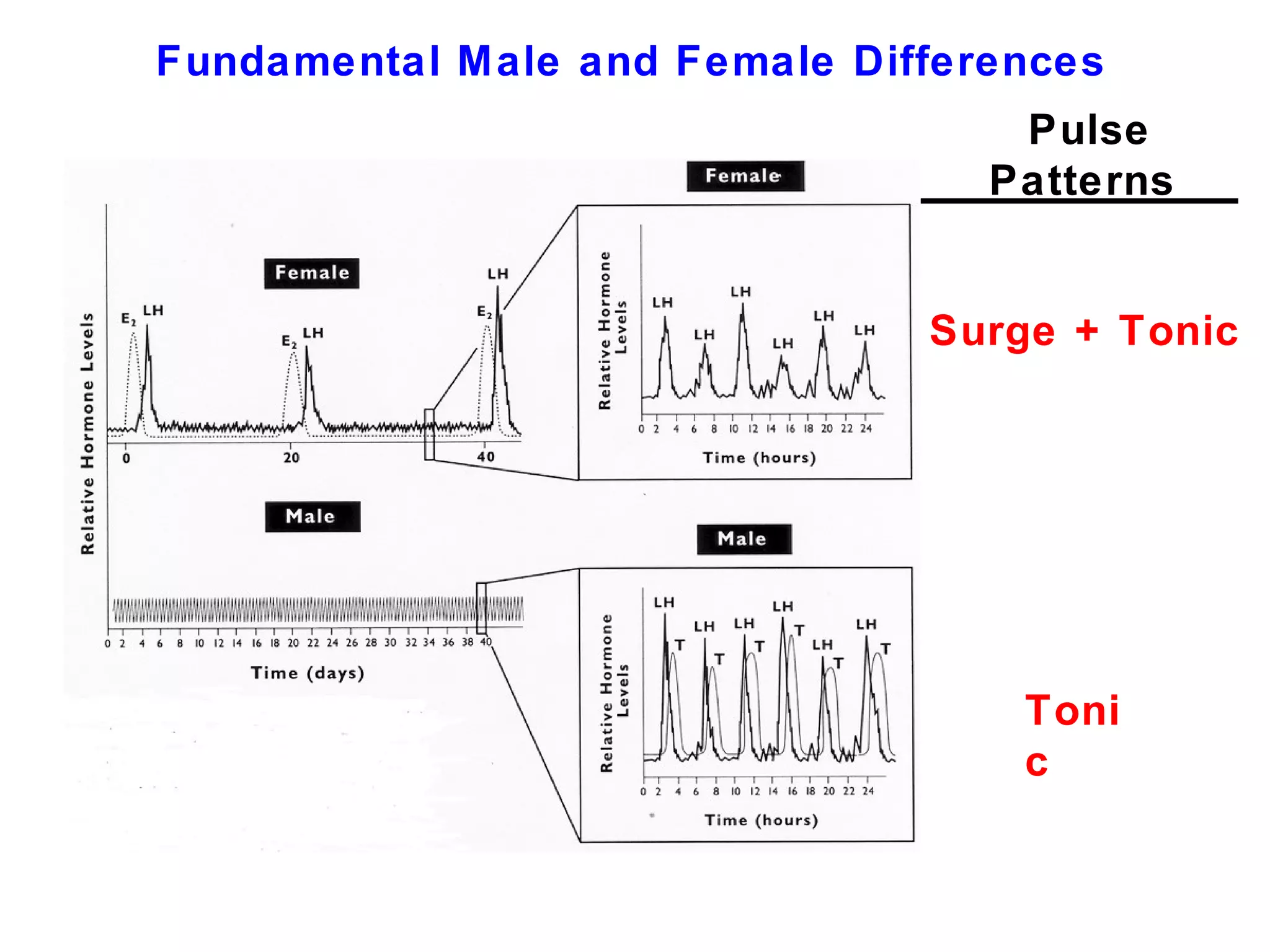 Puberty in Domestic Animals - Dr. John J. Parrish | PPT