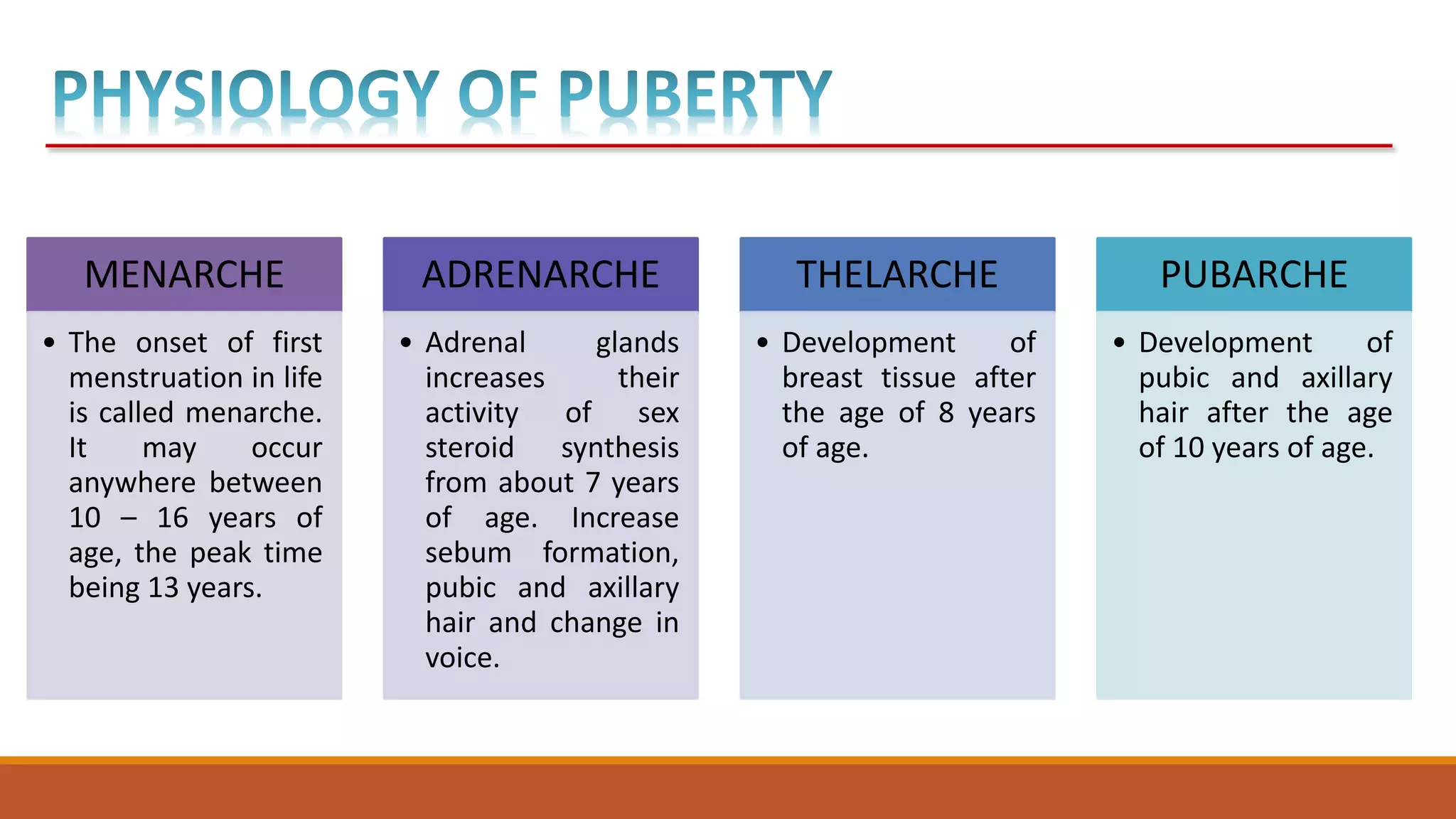 Puberty | PPTX