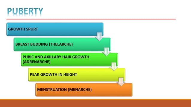 Puberty | PPTX | Menopause | Endocrine and Metabolic Diseases