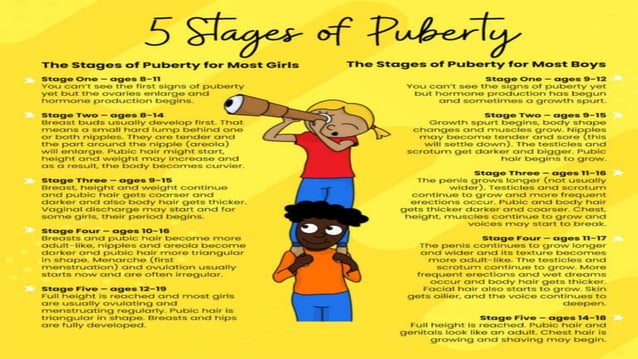 puberty.pptx