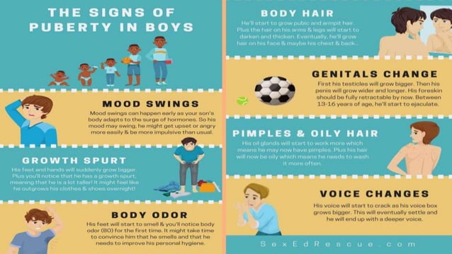 puberty.pptx