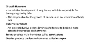 Stages of Growth and Development. ppt for free | PPTX