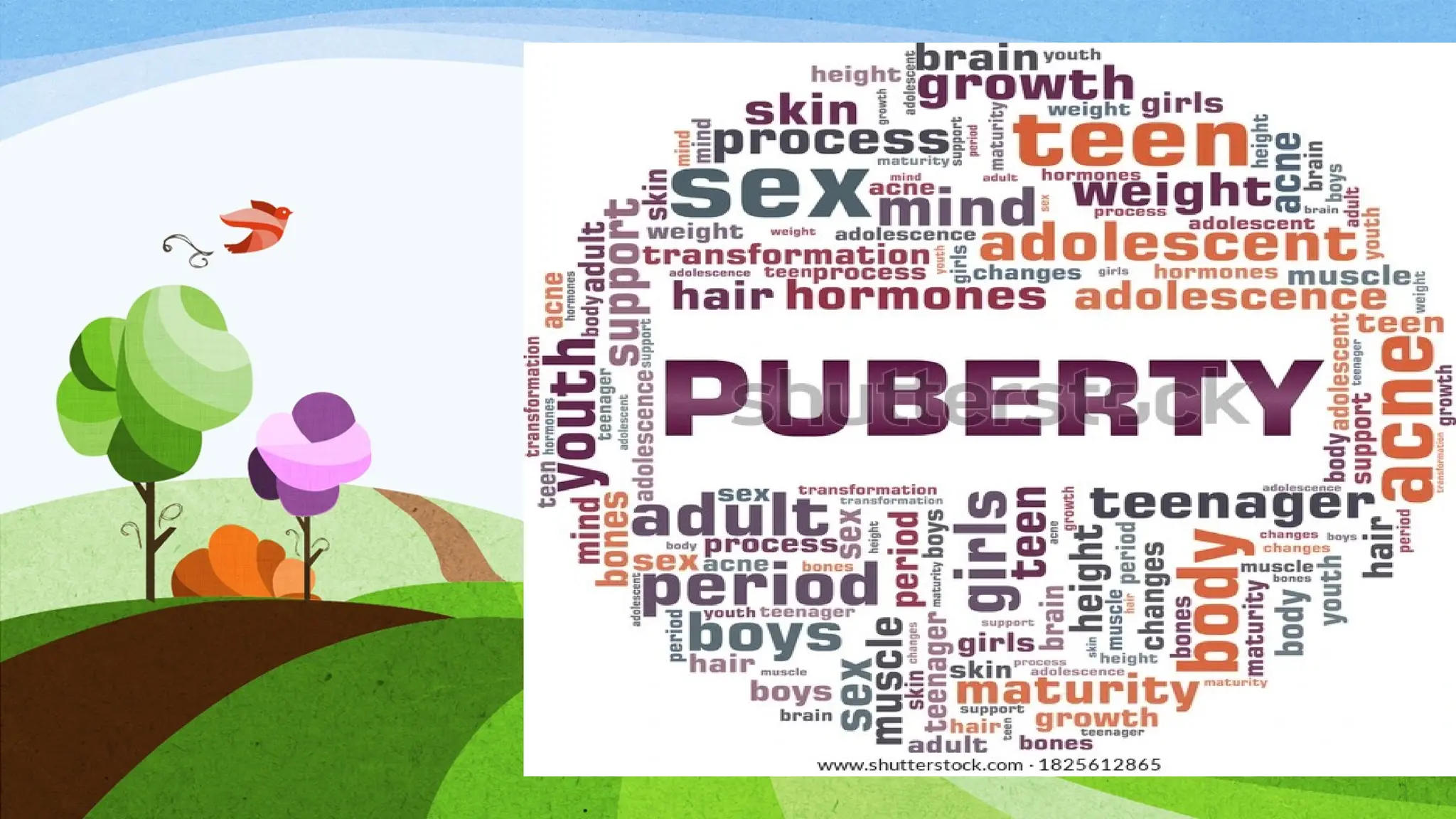 Stages of puberty: all about puberty etc | PPTX