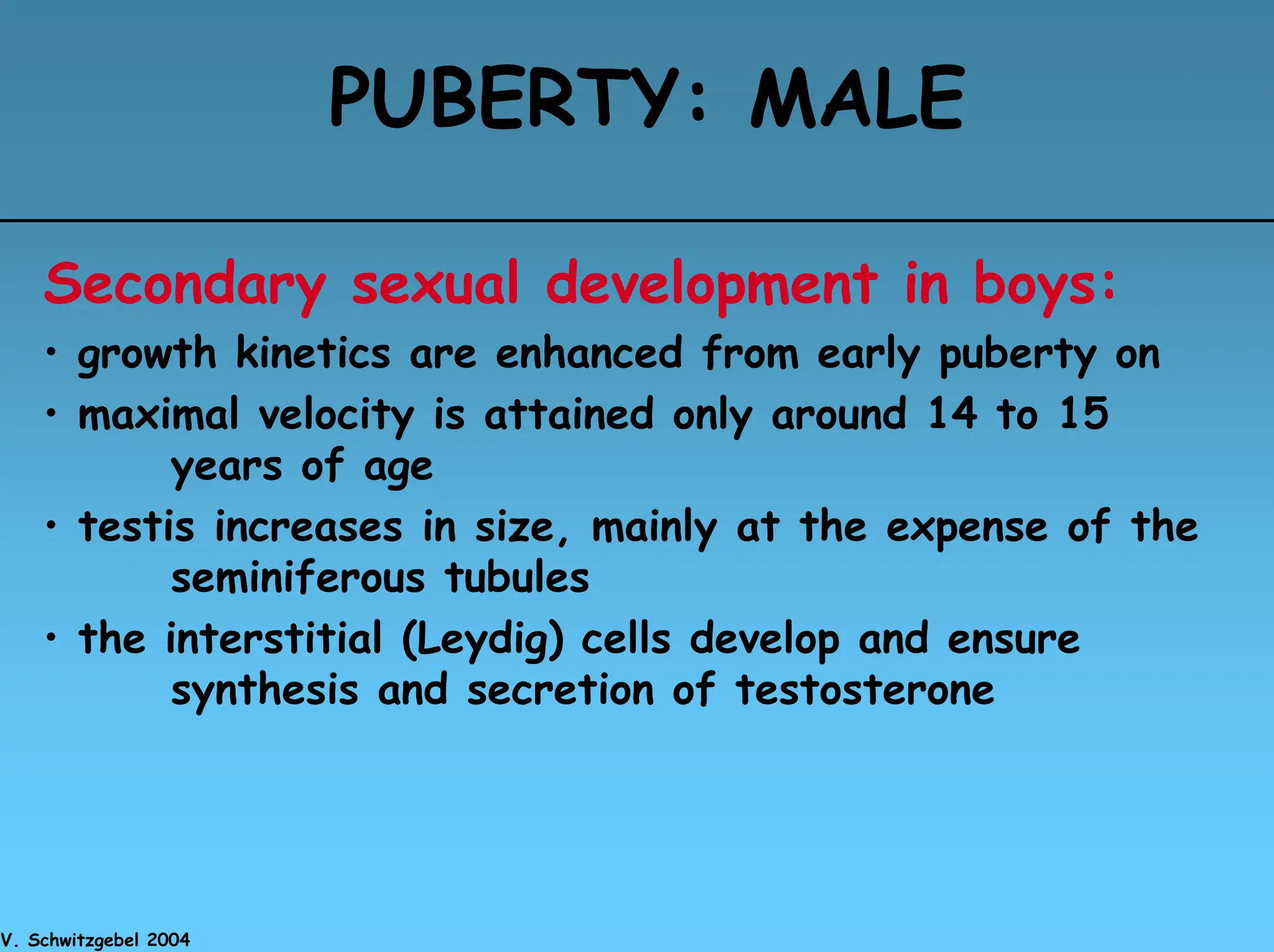 Puberty - A presentation for medical students | PDF