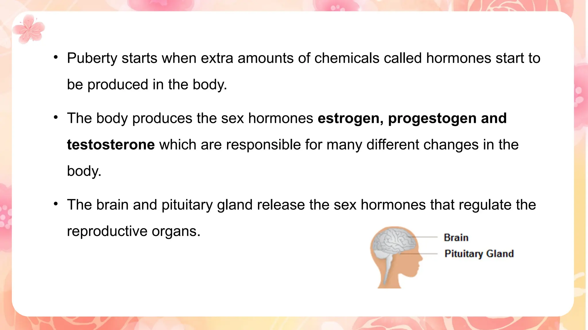 PUBERTY - GIRLS. A presentation for school students. | PPTX