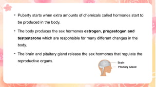 PUBERTY - GIRLS. A presentation for school students. | PPTX