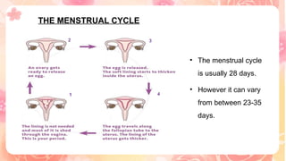 PUBERTY - GIRLS. A presentation for school students. | PPTX