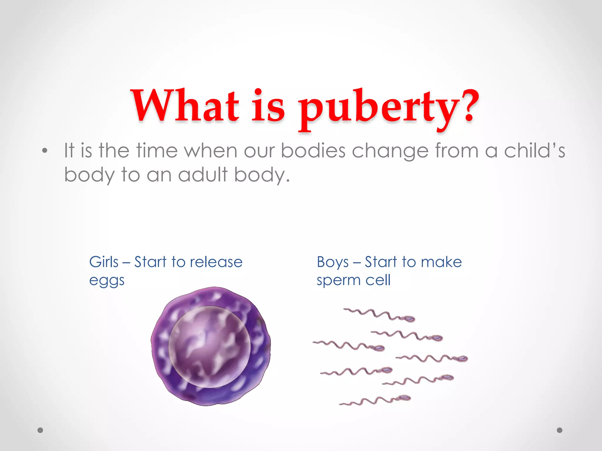 Puberty presentation 4 everybody | PPTX