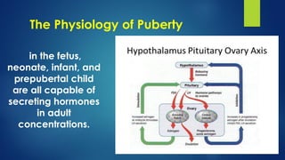 Puberty | PDF | Menopause | Endocrine and Metabolic Diseases
