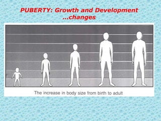 puberty_and_teen_years.ppt