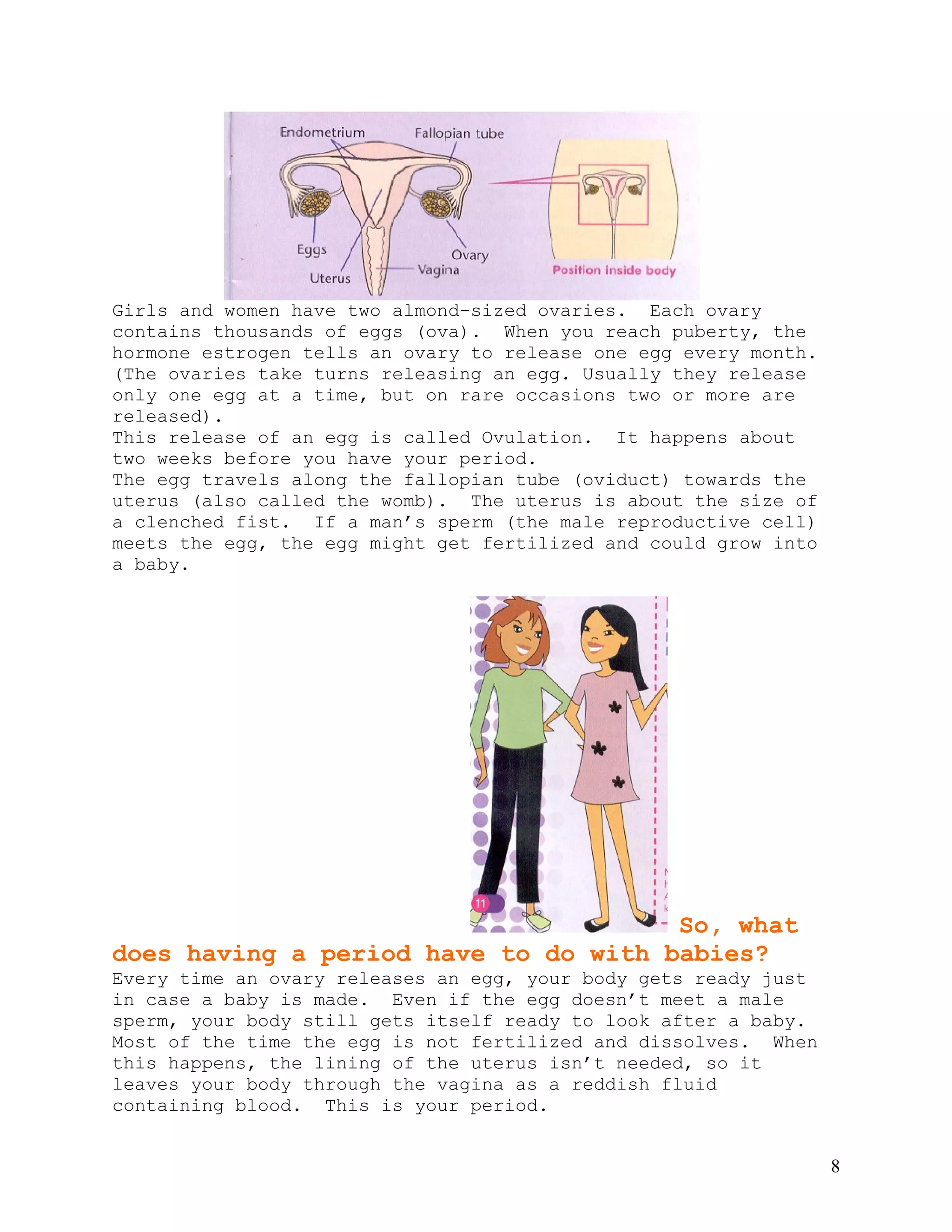 Puberty booklet | DOC