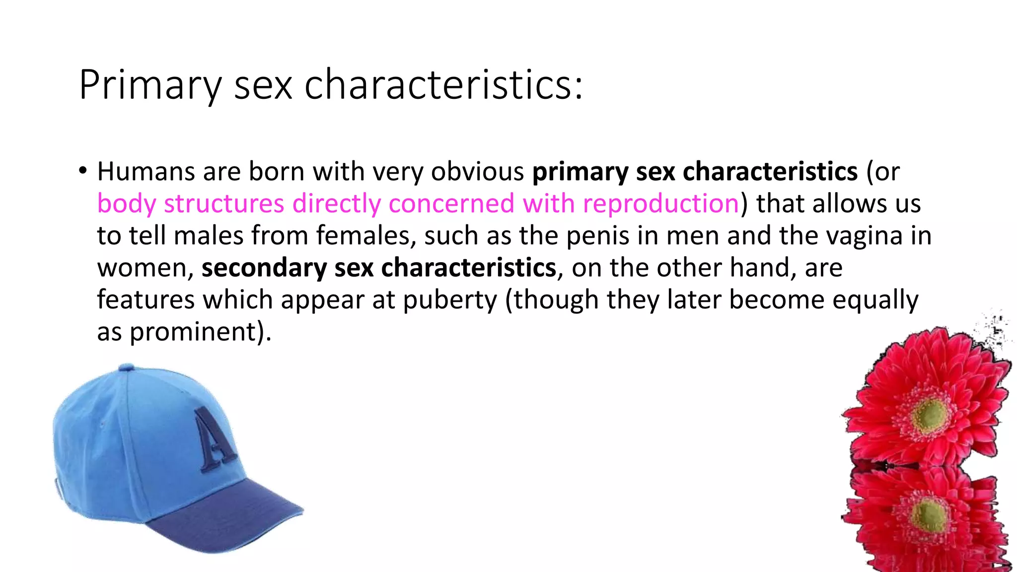 Puberty (Advanced Developmental Psychology) | PPTX