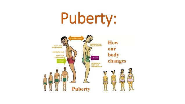 Puberty (Advanced Developmental Psychology) | PPTX