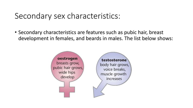 Puberty (Advanced Developmental Psychology) | PPTX