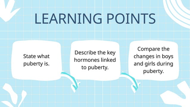 Puberty Educational Presentation in a Blue Illustrative Style.pptx
