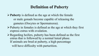 Puberty in domestic animals | PPT