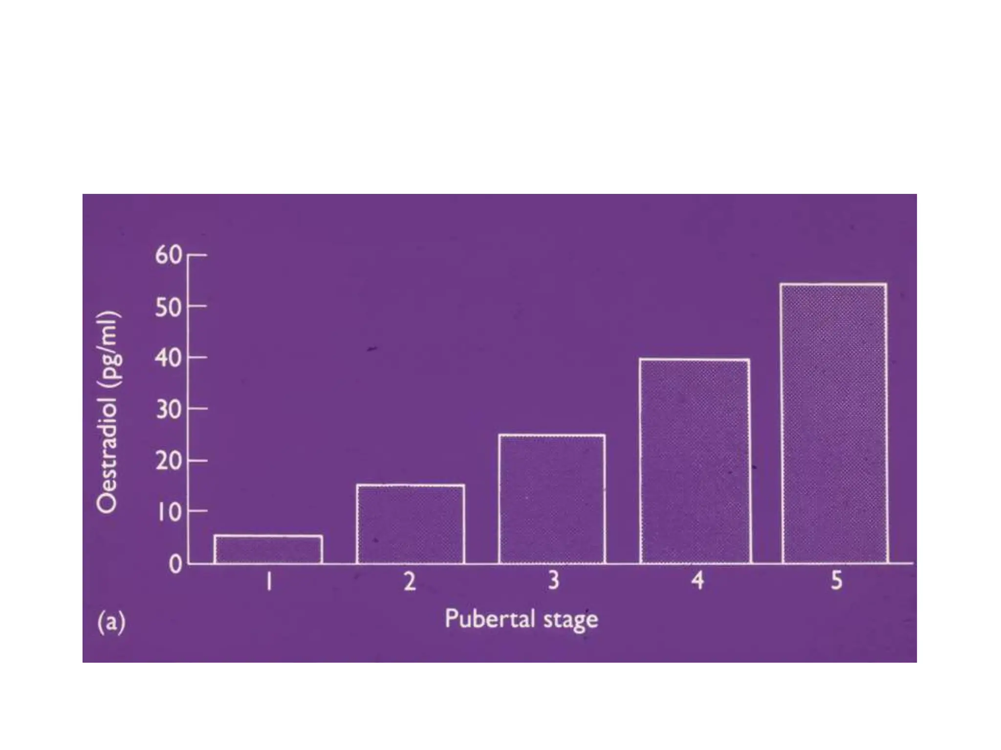 THE CHANGES THAT YOUR BODY UNDERGOES. UNDERSTANDING PUBERTY | PPT