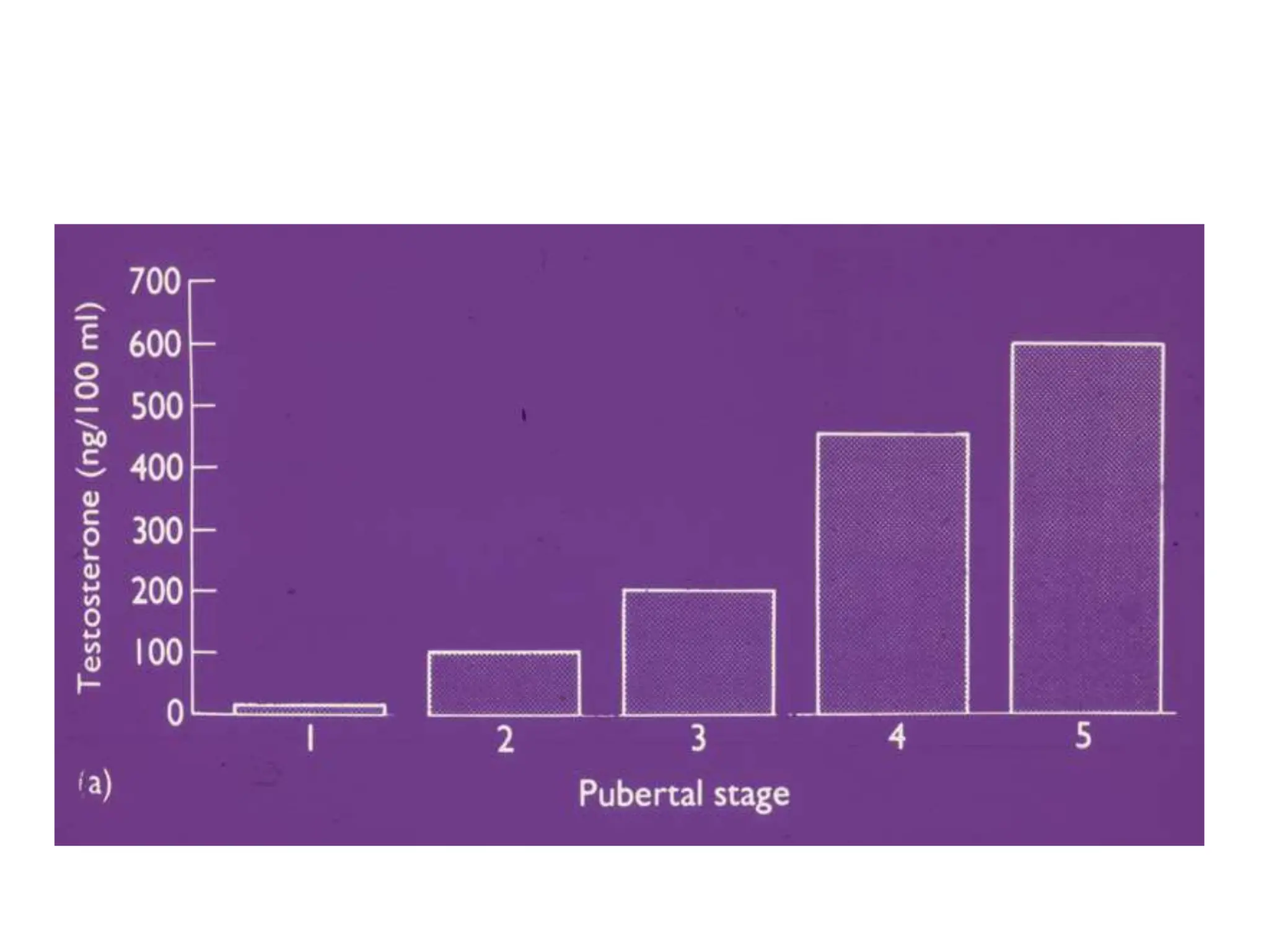 THE CHANGES THAT YOUR BODY UNDERGOES. UNDERSTANDING PUBERTY | PPT