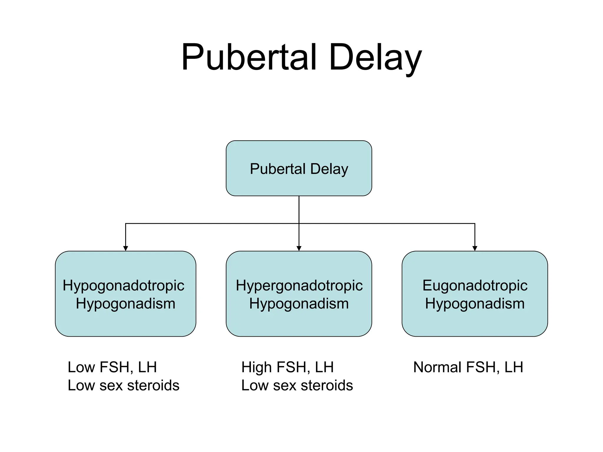 THE CHANGES THAT YOUR BODY UNDERGOES. UNDERSTANDING PUBERTY | PPT