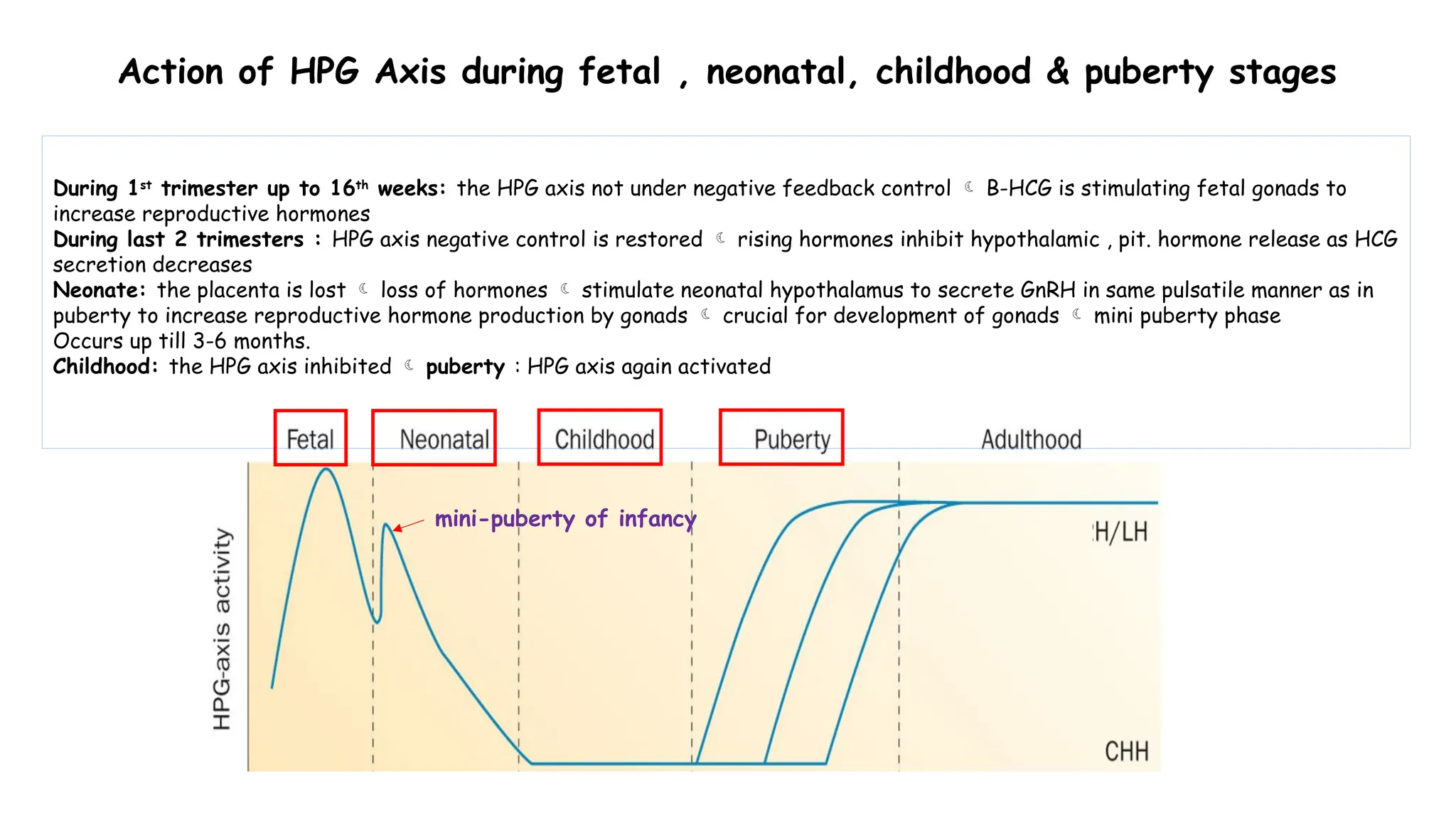 Puberty & Menopause.pptx hormonal changes during puberty and menopause ...