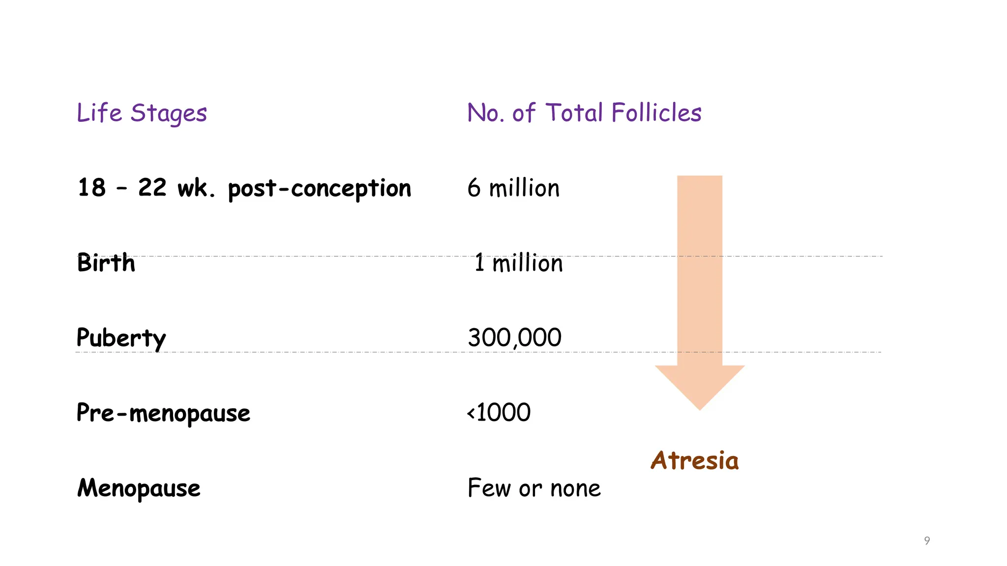 Puberty Menopause Pptx Hormonal Changes During Puberty And Menopause