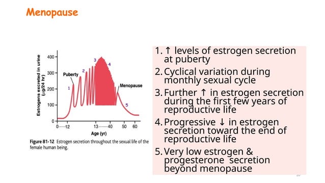 Puberty Menopause Pptx Hormonal Changes During Puberty And Menopause